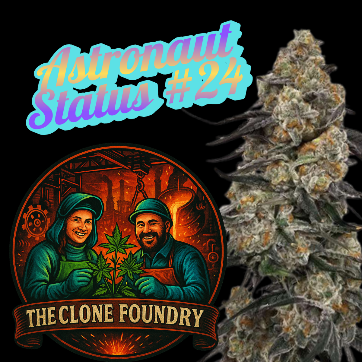 🌱 Astronaut Status #24 – The Clone Foundry