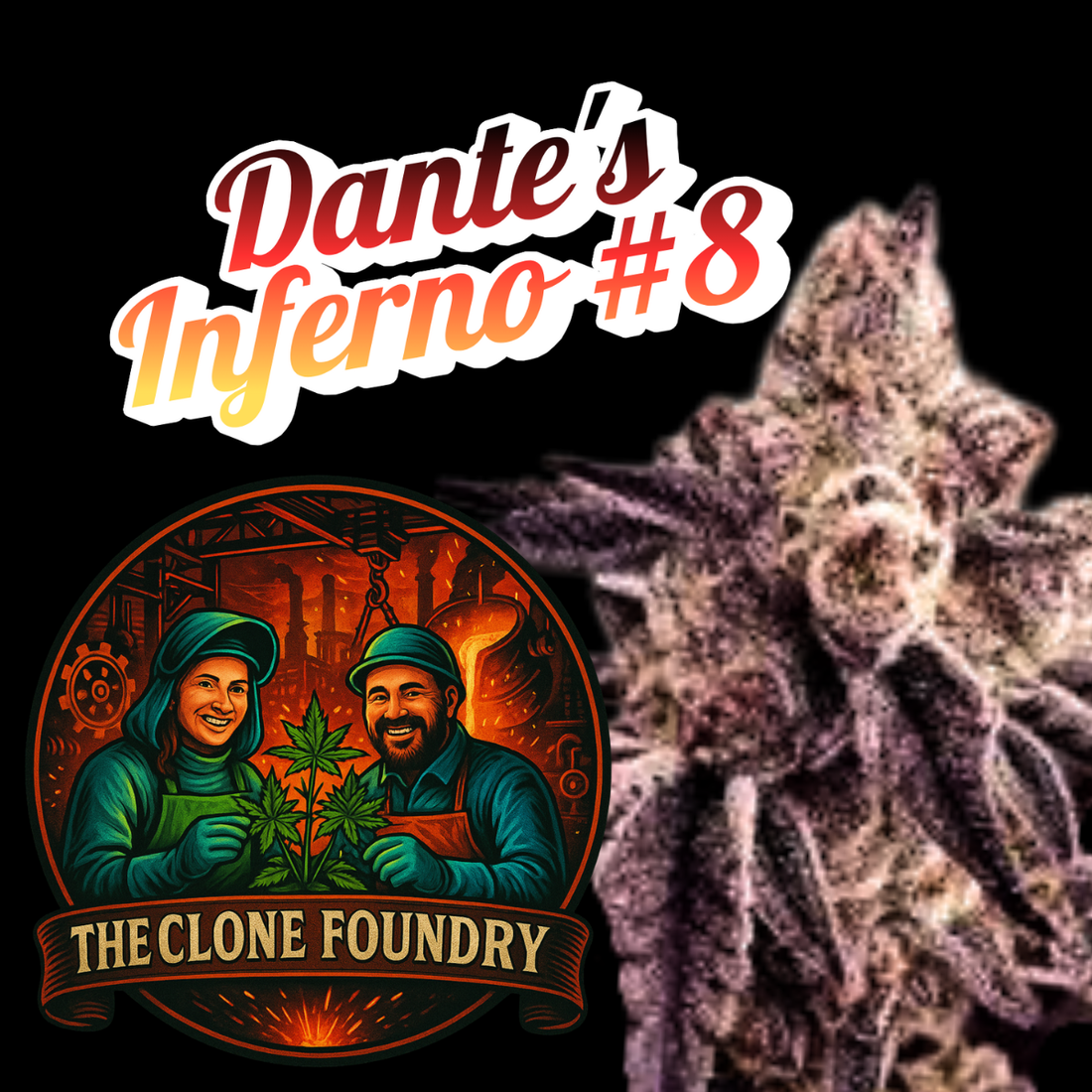 🌱 Dante’s Inferno #8 – The Clone Foundry