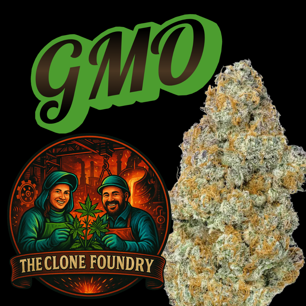 All Cannabis Clones for Sale – Buy Verified Genetics Online – Page 3 ...
