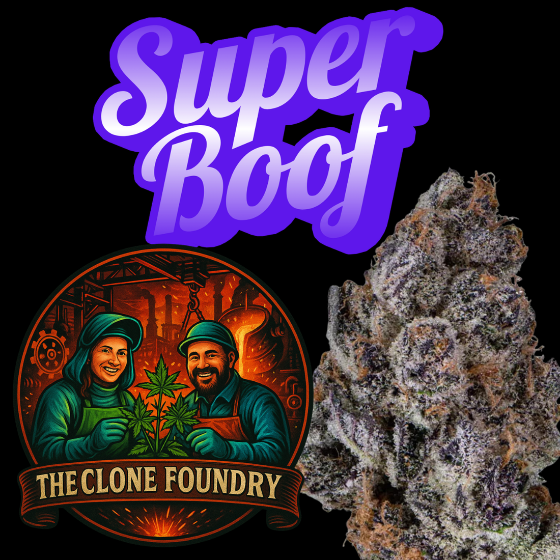 🌱 Super Boof – The Clone Foundry
